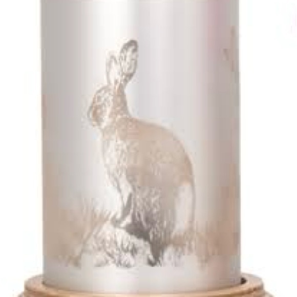 Pink Zebra | Accents | Pink Zebra Silver Rabbit Simmer Light With Wood ...